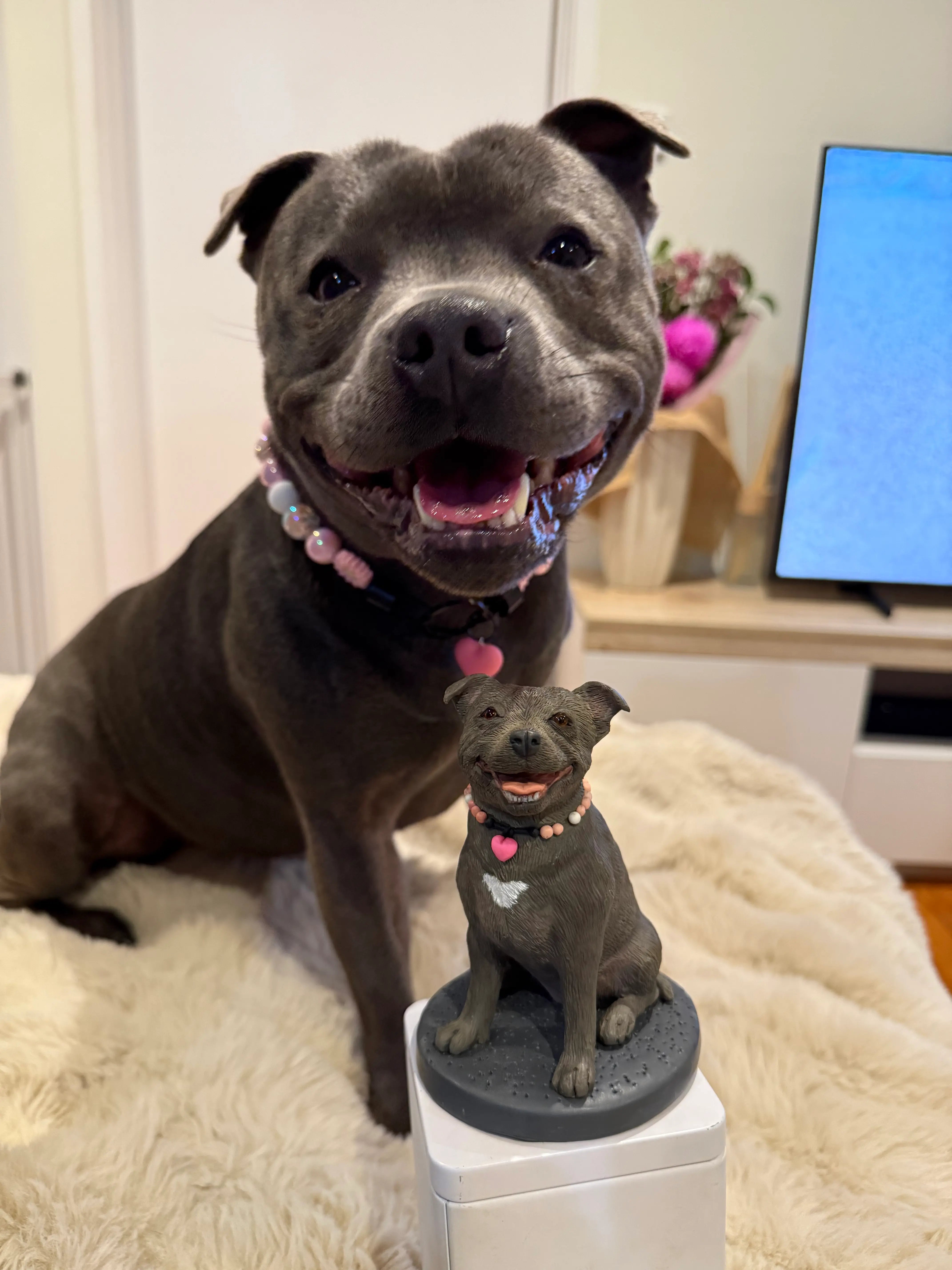 How to Choose the Right Custom Pet Bobblehead – Myminipets