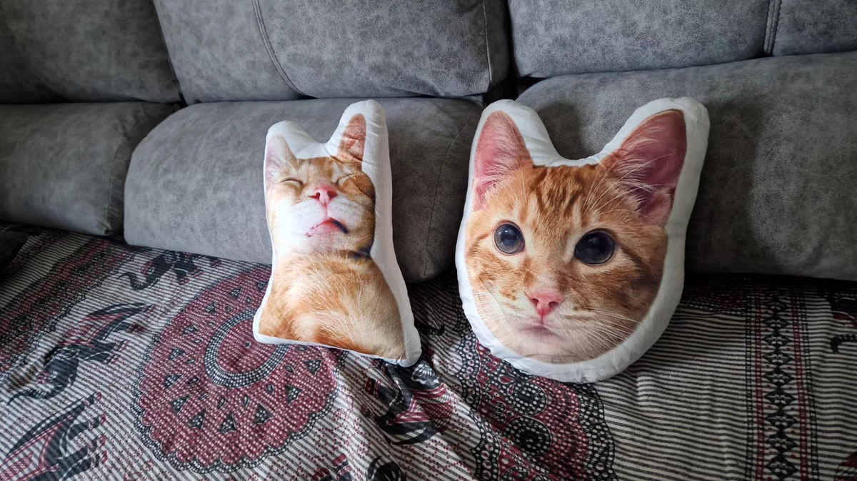 Bring Your Pet Closer: 3 Heartwarming Uses of a Custom Pet Pillow ...