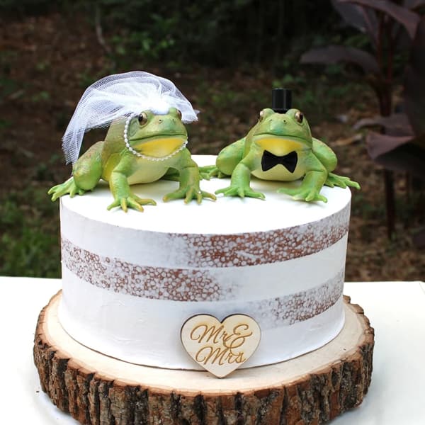 Custom Frog Wedding Cake Topper - Unique Fairytale Wedding Decor ...