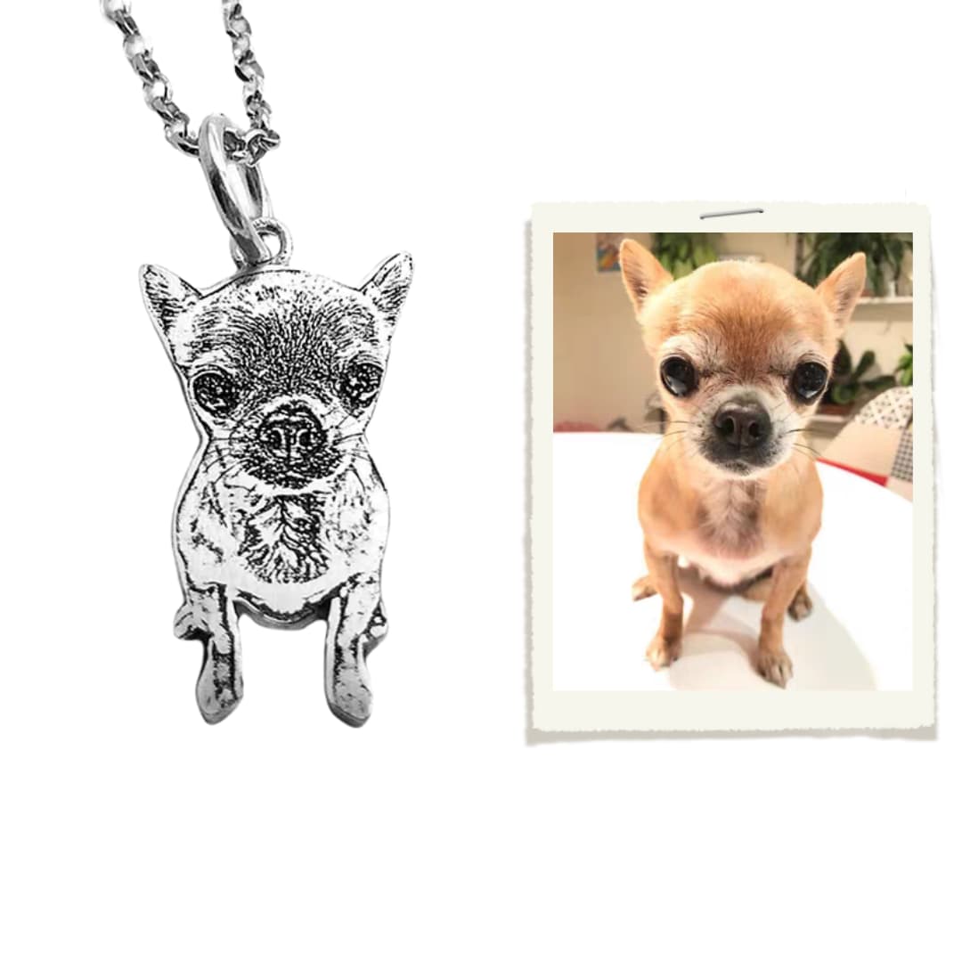 Custom Pet Portrait Necklace – Myminipets